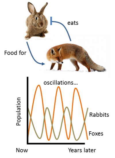 System Dynamics - Simulace.info